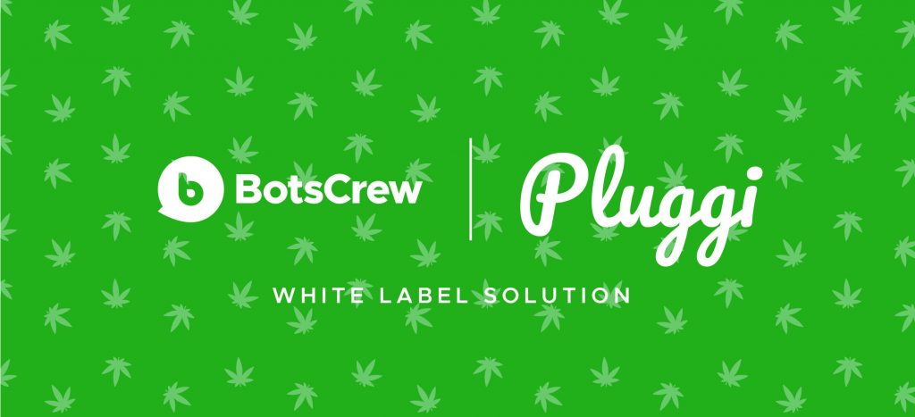 From $0 to $10.000 In MRR: Pluggi White-Label Chatbot - BotsCrew